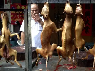 En plena pandemia y pese a las prohibiciones, China inauguró su ...