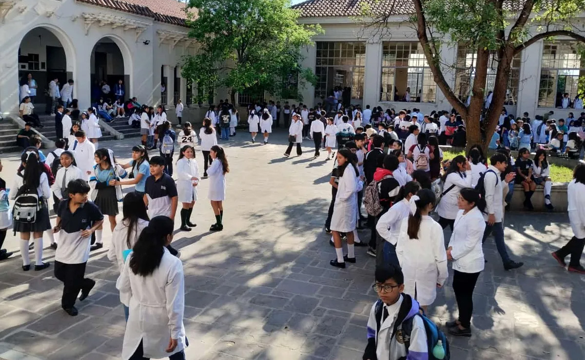 Ingreso a primer año: más de 13 mil estudiantes finalizan la primaria ...